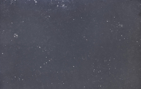 Belgian Bluestone - Francois & Co.